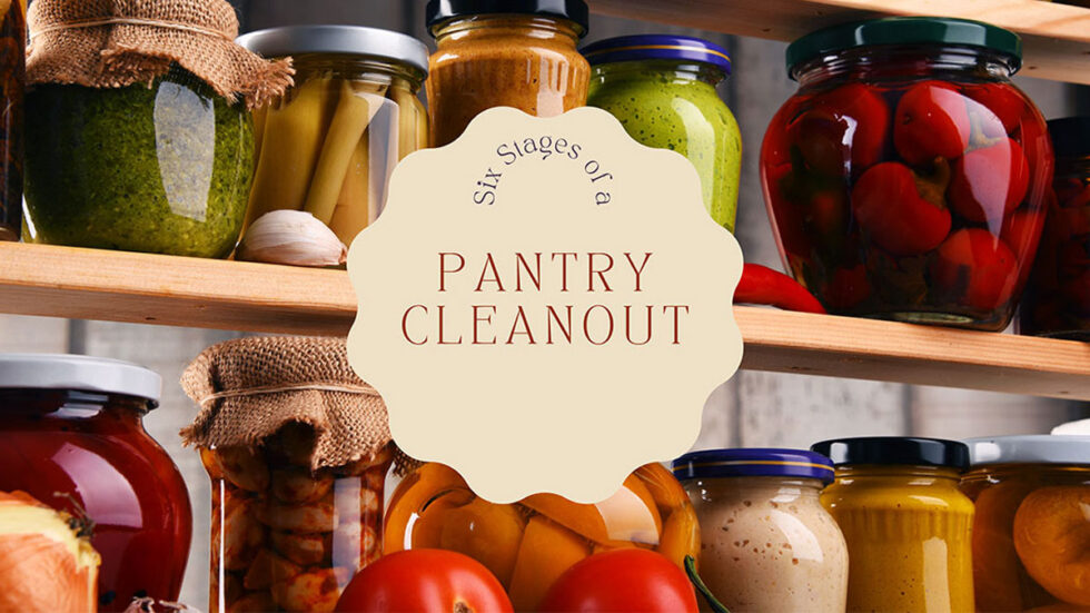 How to clean up your pantry in six stages | Ali Catto